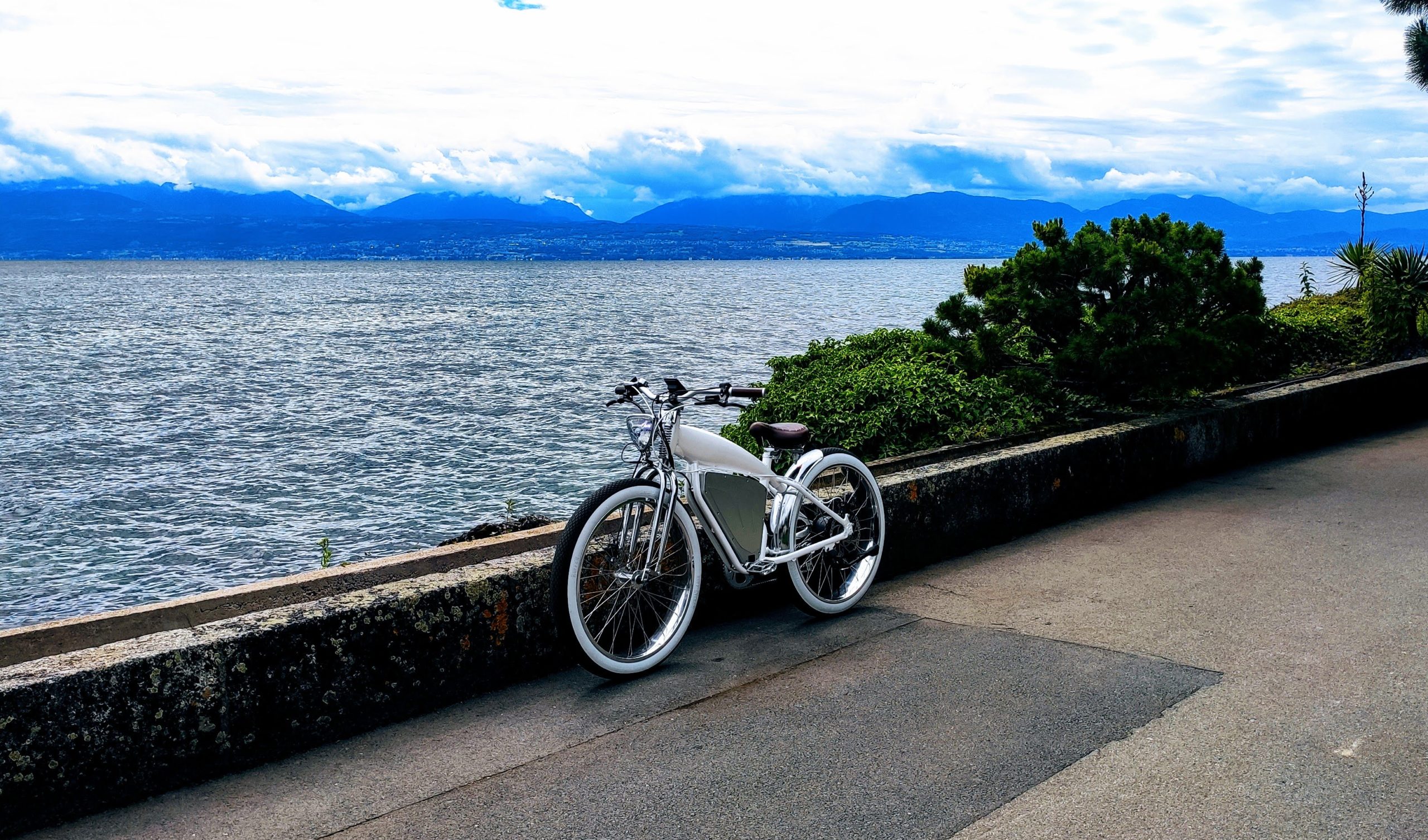 Découvrez la Nouvelle Version de notre Vélo Roadster en Blanc Nacré - AVIAN